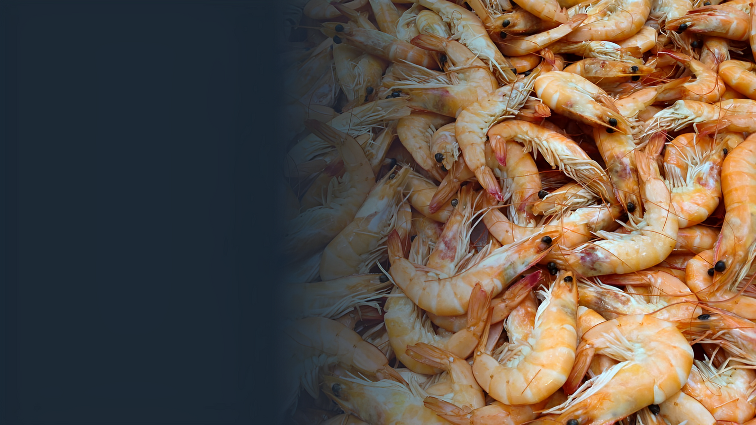 Arctic Food Services: Distributor & Food Supplier in St. Louis, MO